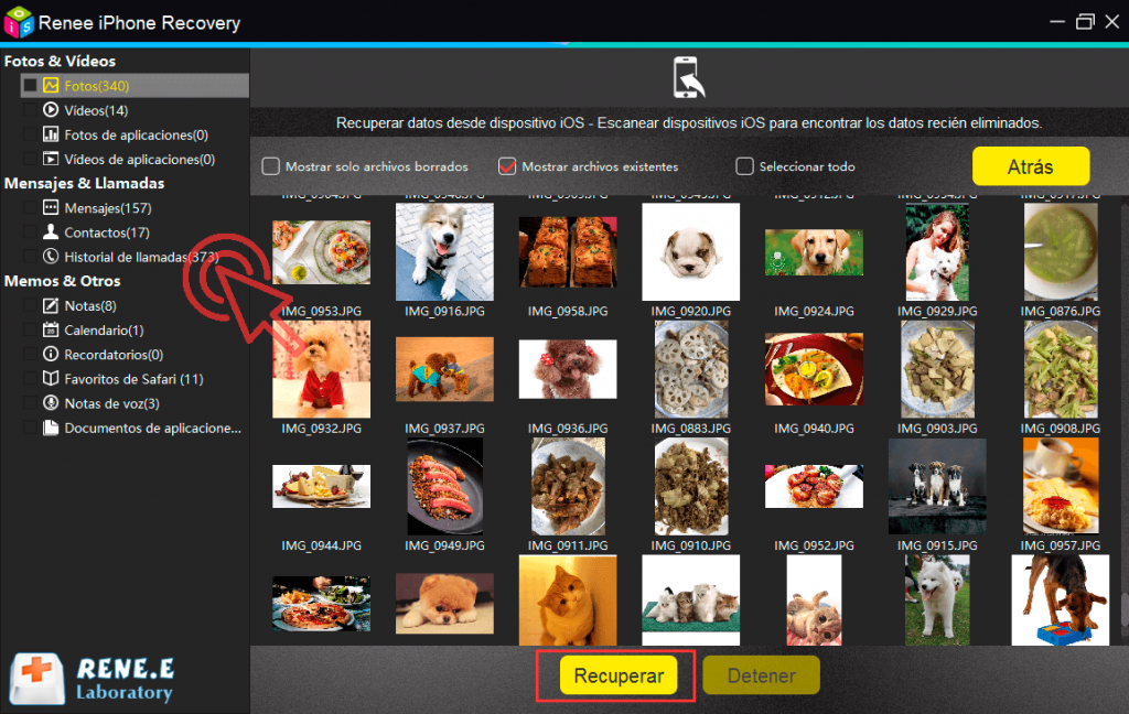 Cómo Rechazar Llamadas en iPhone: Trucos Sencillos - Rene.E Laboratory